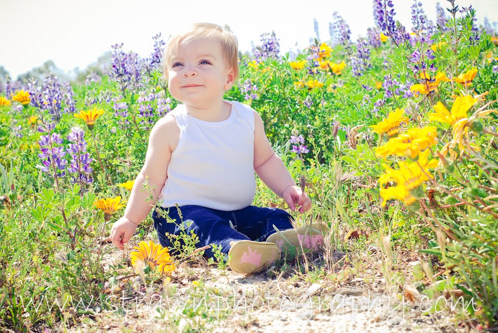 Haylie and her field of flowers » Emily Strawn Photography
